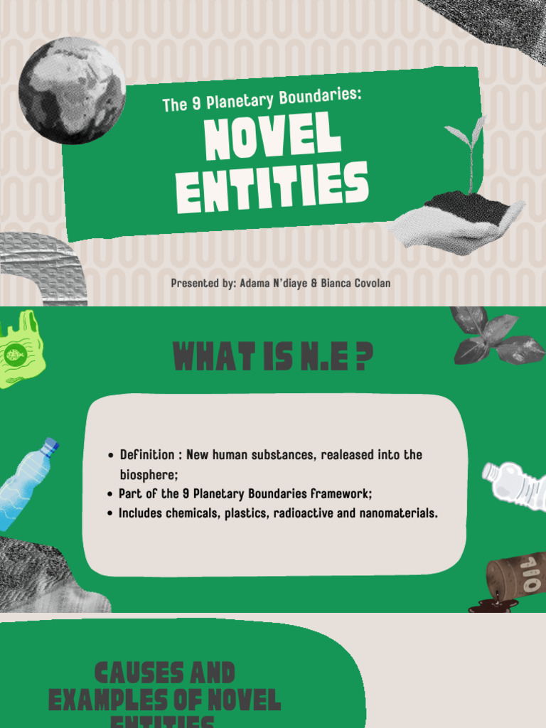 Novel Entities and Planetary Boundaries | PDF