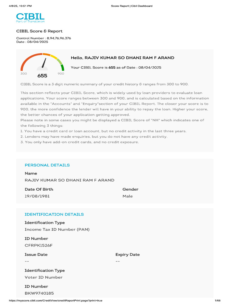 Cibil Report | PDF