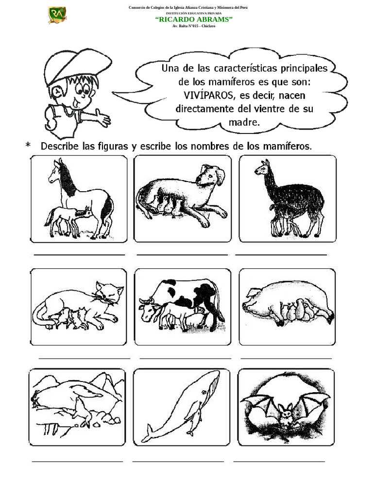 Ficha de Animales Mamíferos para Primaria | PDF | Mamíferos | Zoología