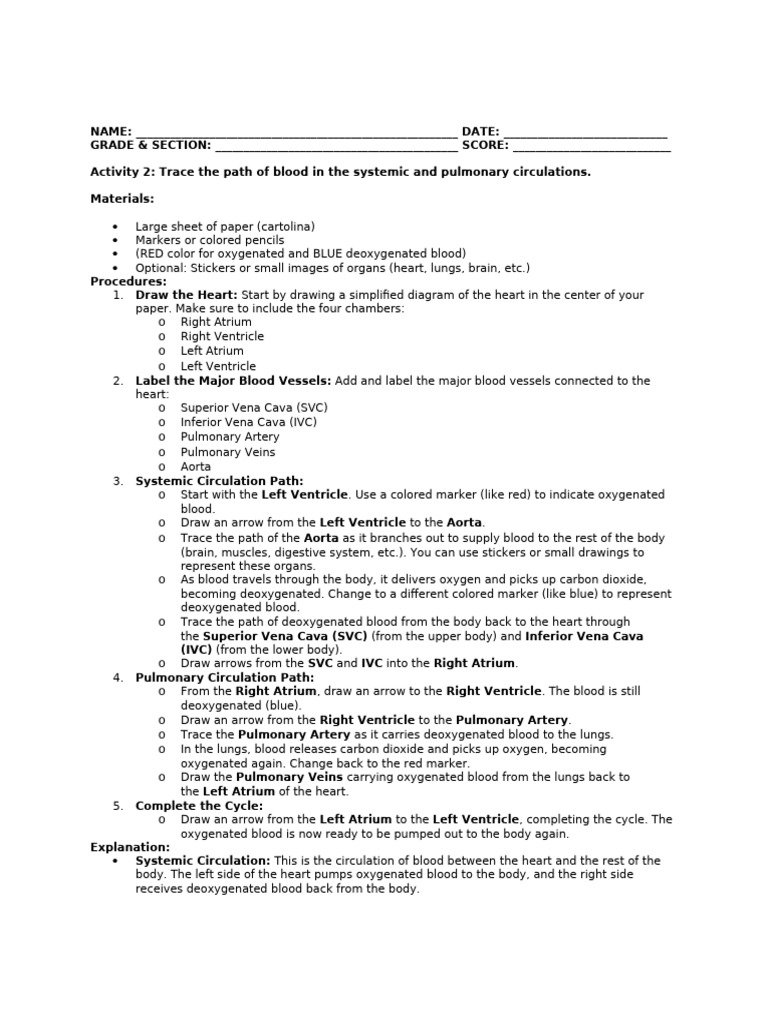 Activity 2 Trace The Path of Blood Circulation - Nov. 25 | PDF ...