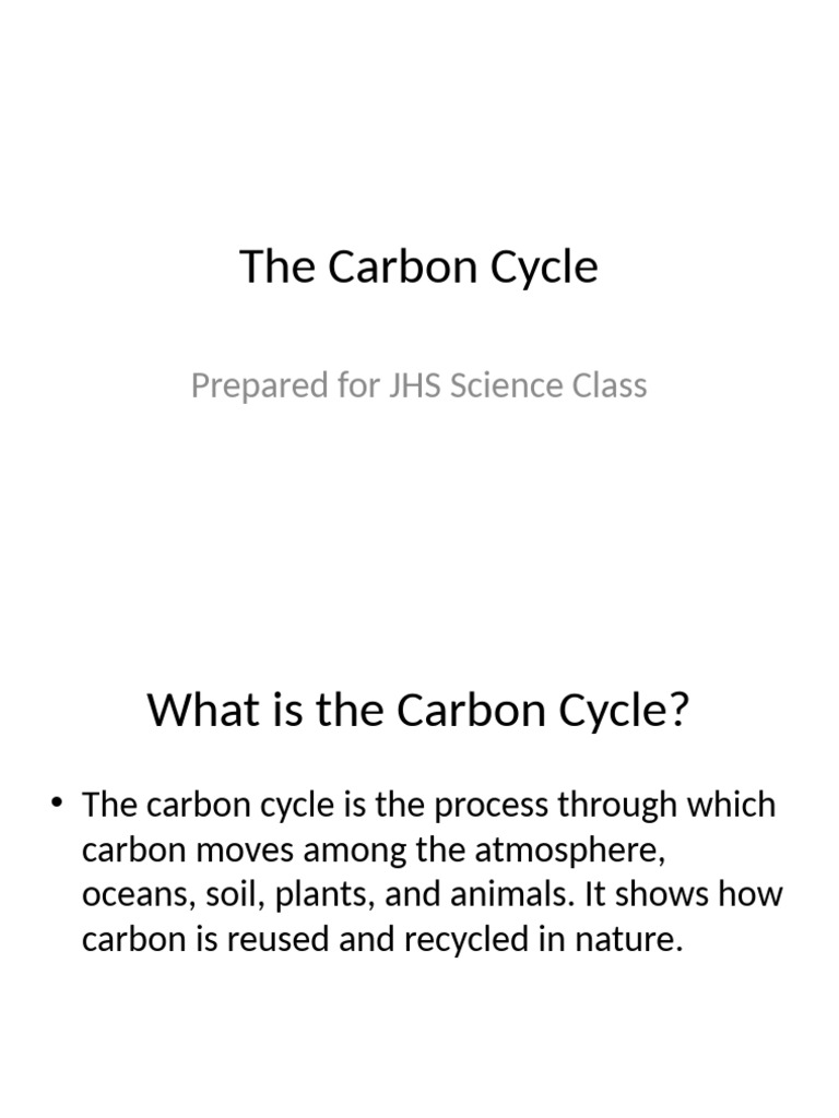 Carbon Cycle Presentation | PDF