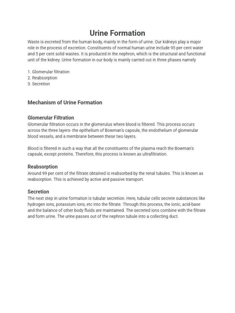 Urine Formation | PDF