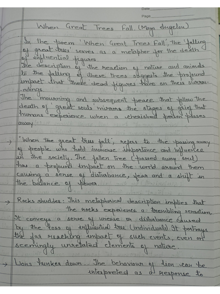When Great Trees Fall Notes | PDF