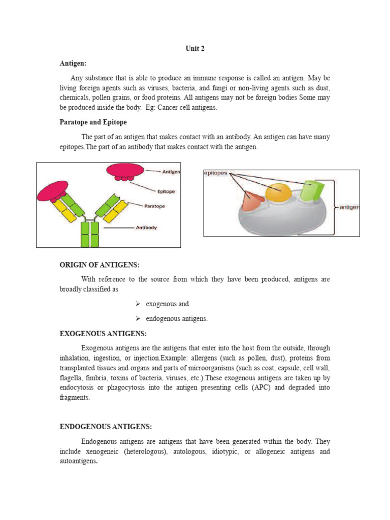 Understanding Antigens and Immunogenicity | PDF | Immunoglobulin G ...