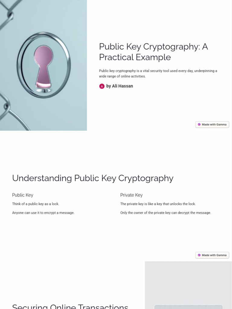 Public Key Cryptography a Practical Example | PDF
