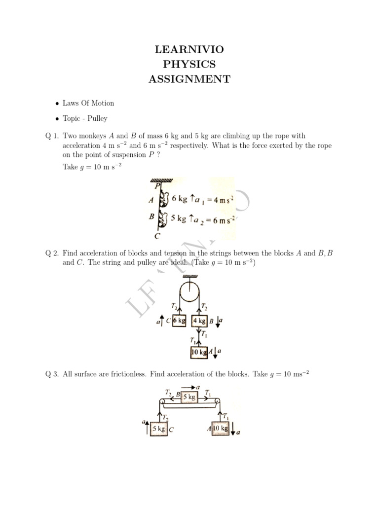 Pulley Physics Assignment Questions | PDF | Tension (Physics) | Force