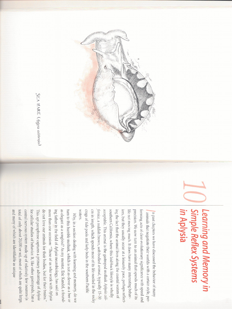 Chapter_10_Learning_and_Memory_in_Simple_Reflex_System_in_Aplysia | PDF