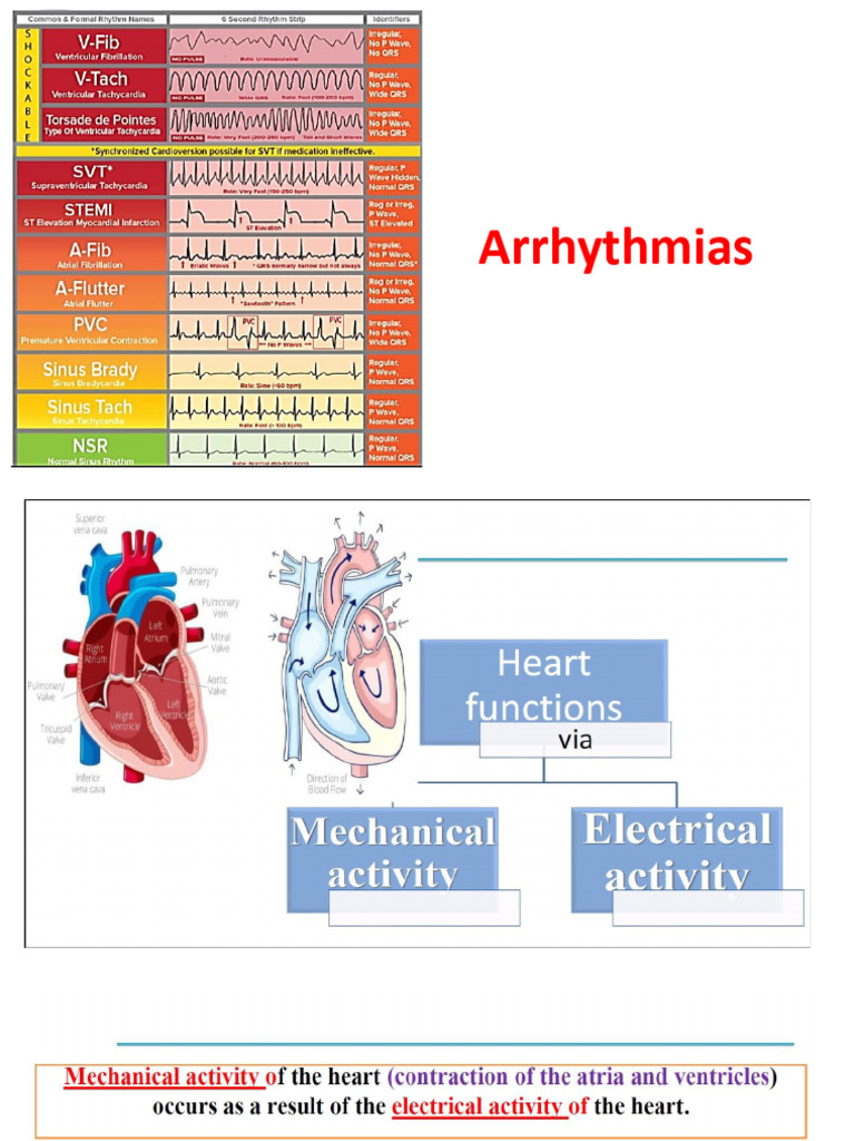 Arrhythmias Part 1 | PDF | Heart | Cardiovascular System