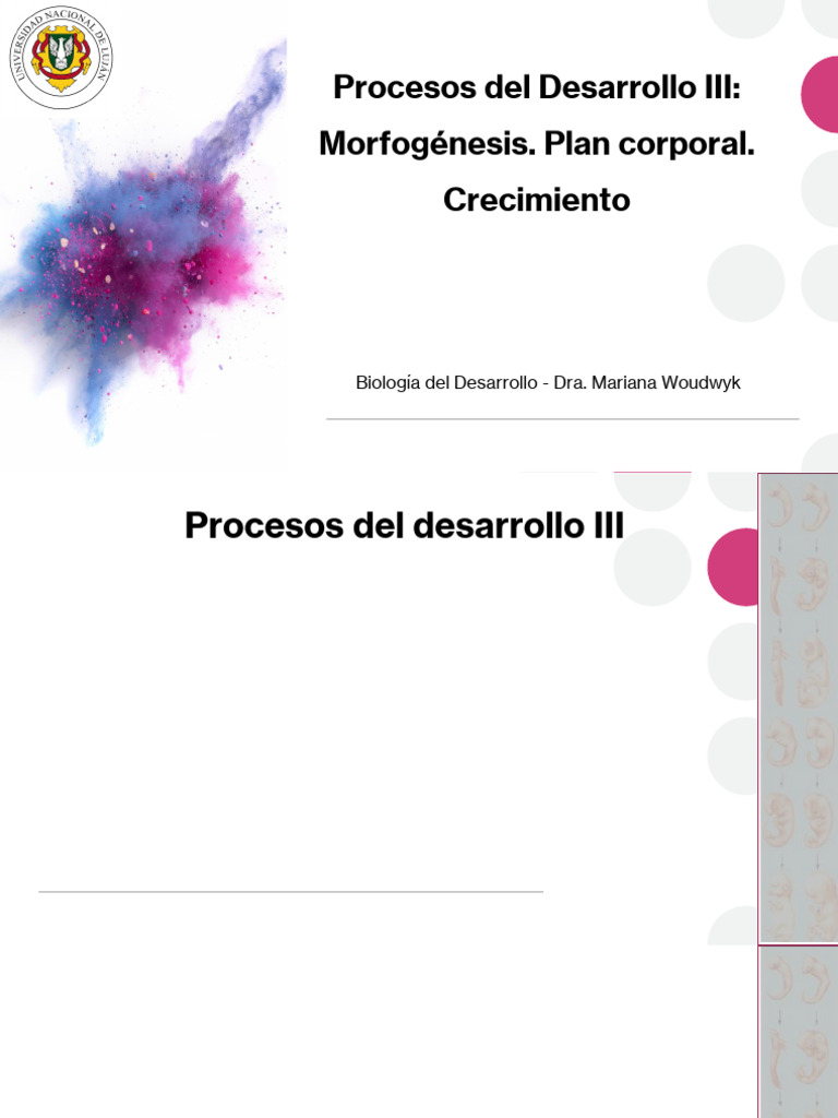 Clase 4-Procesos Del Desarrollo III - Morfogenesis y Crecimiento | PDF ...