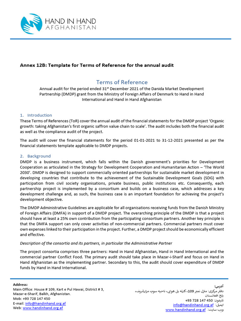 Annex 12B: Template For Terms of Reference For The Annual Audit | PDF ...