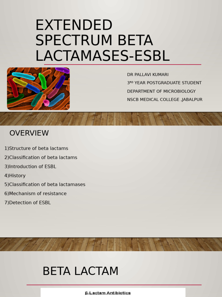 Extended Spectrum Beta Lactamases-Esbl | PDF | Beta Lactamase | Antibiotics
