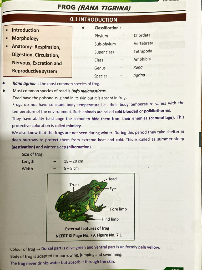 Allen 2026 Neet Module (Frog) | PDF