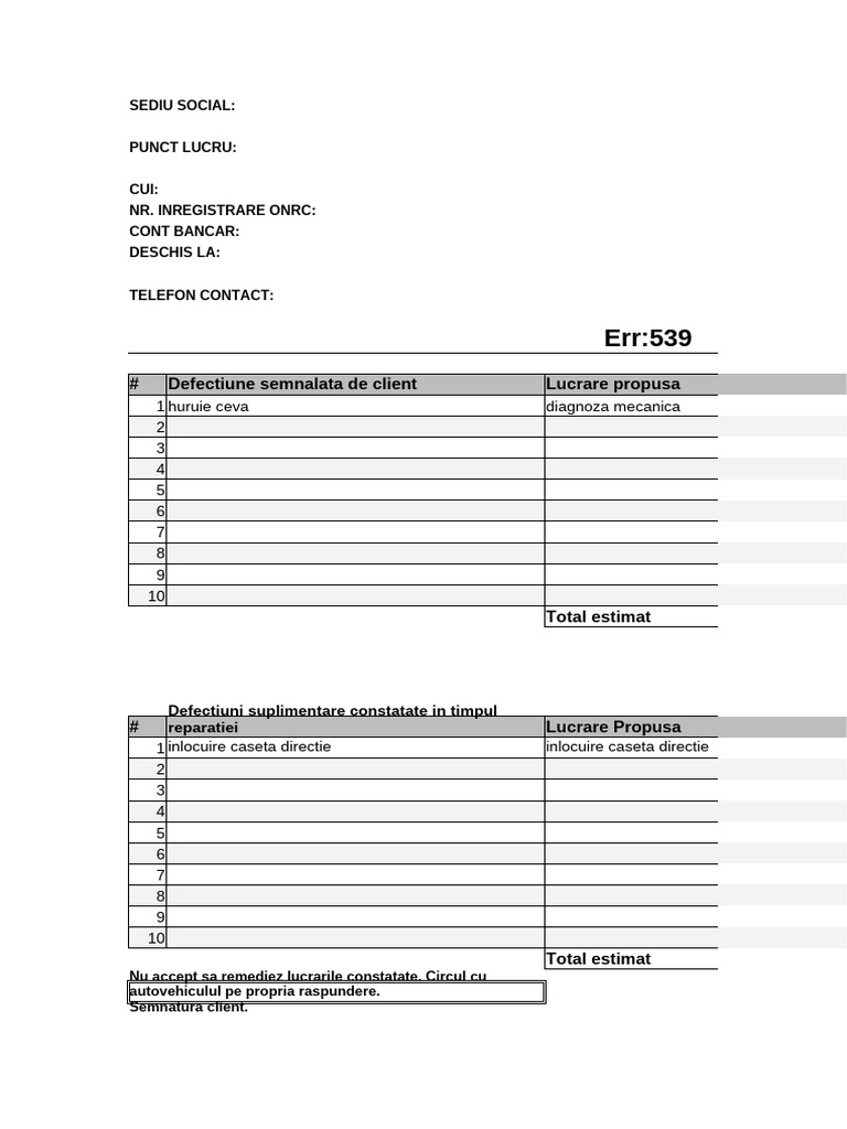 Deviz Service Blank | PDF
