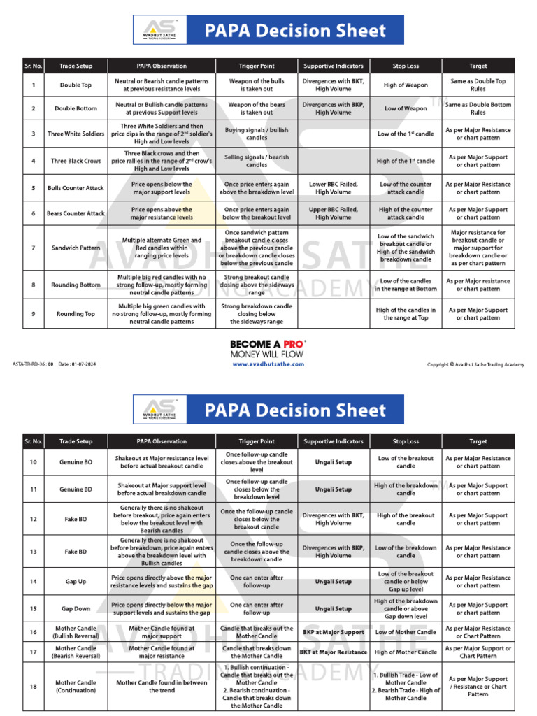 PAPA Decision Sheet (Checklist) (English _ Hindi) | PDF