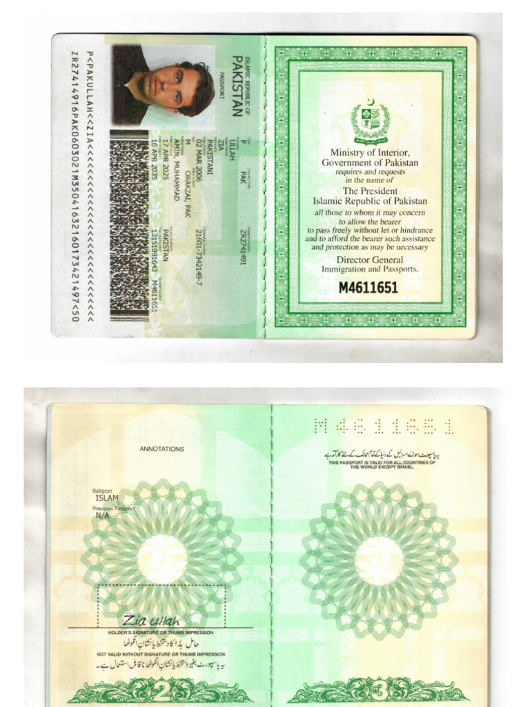 Zia Ullah | PDF