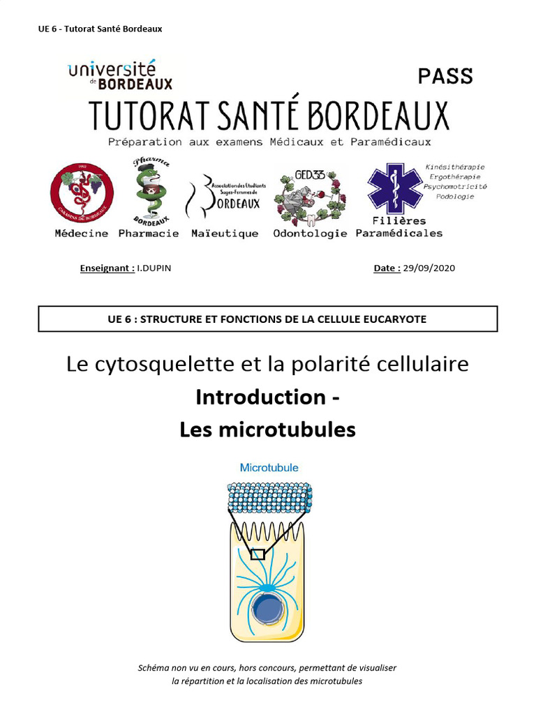 1 - Cytosquelette Et Polarité Cellulaire - Introduction - Microtubules ...