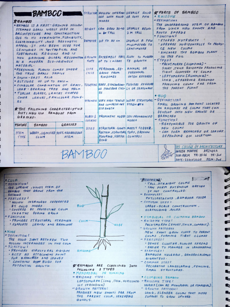 Bamboo: Sustainable Building Material | PDF | Plant Stem | Bamboo
