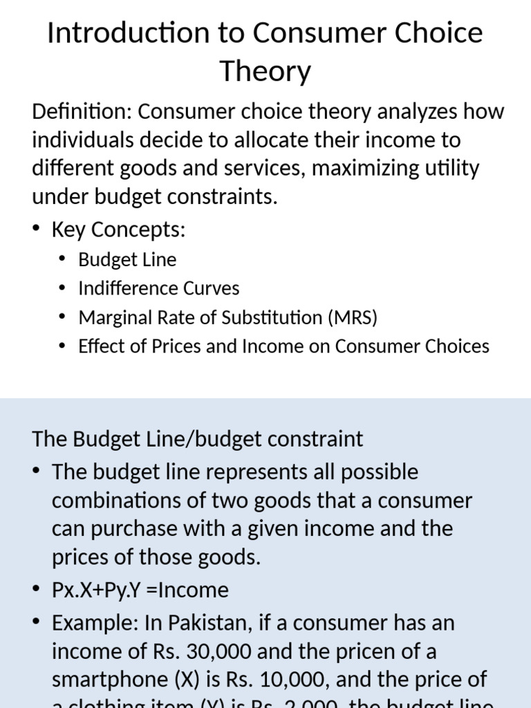 Consumer Choice Theory | PDF | Utility | Consumer Behaviour