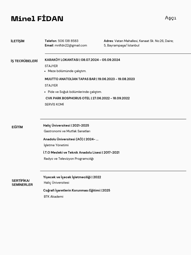 Minel FİDAN CV | PDF