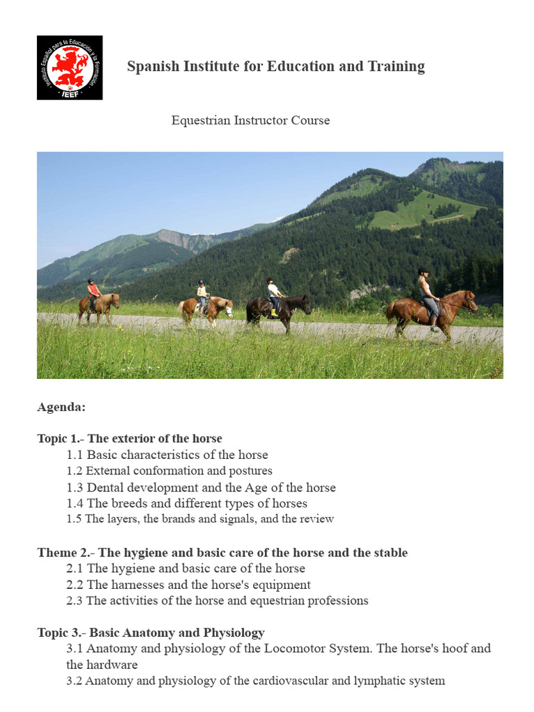 curriculum-horse-riding-monitor (1) | PDF | Horses | Equestrianism