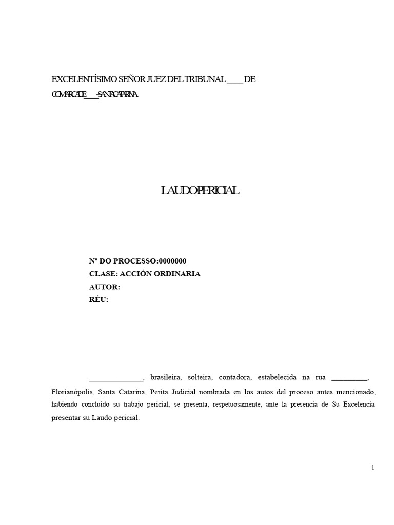 Modelo de Informe Pericial II - Contable | PDF | Testigo experto ...