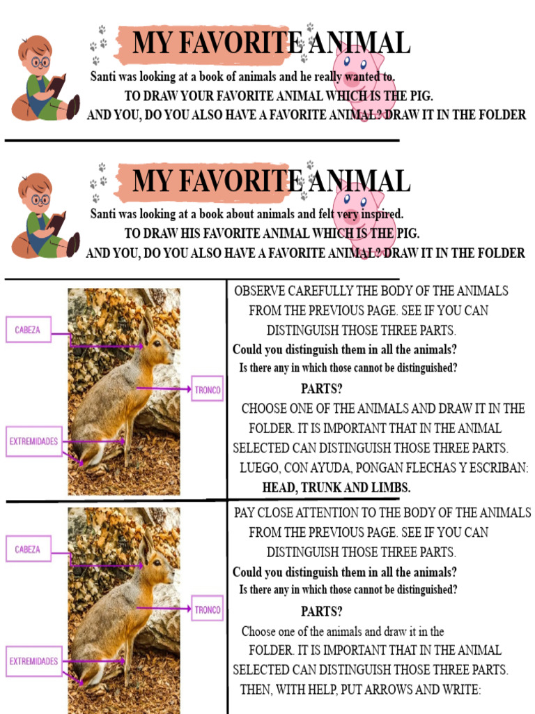 MY FAVORITE ANIMAL | PDF