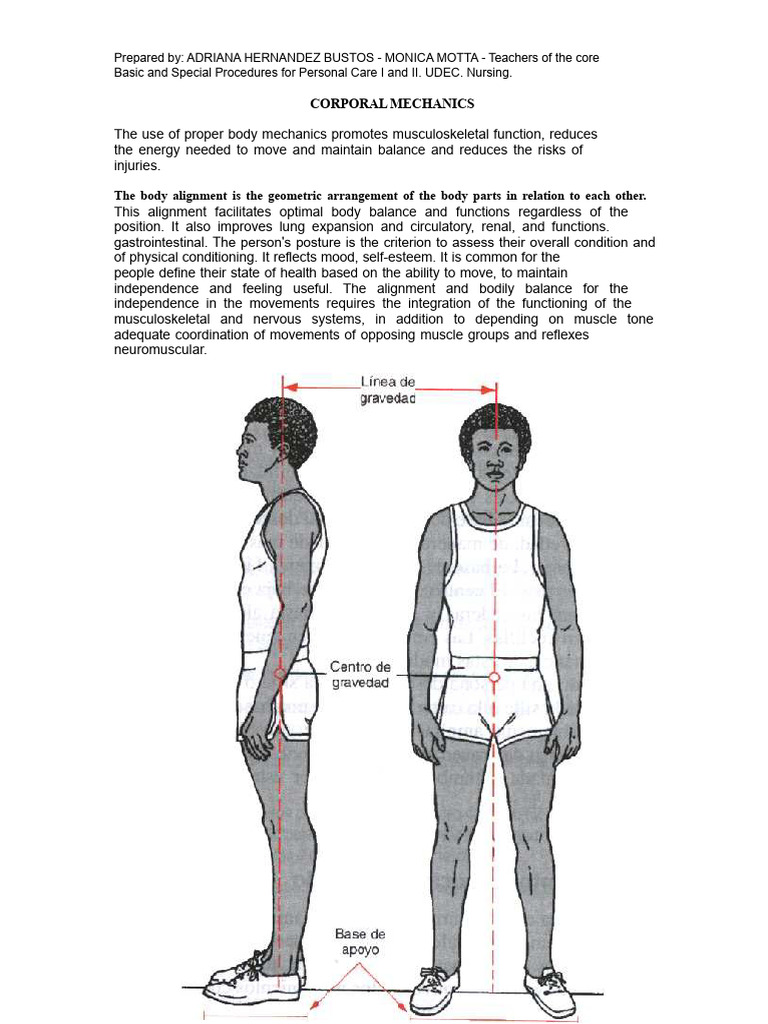Body Mechanics | PDF | Balance (Ability) | Human Musculoskeletal System