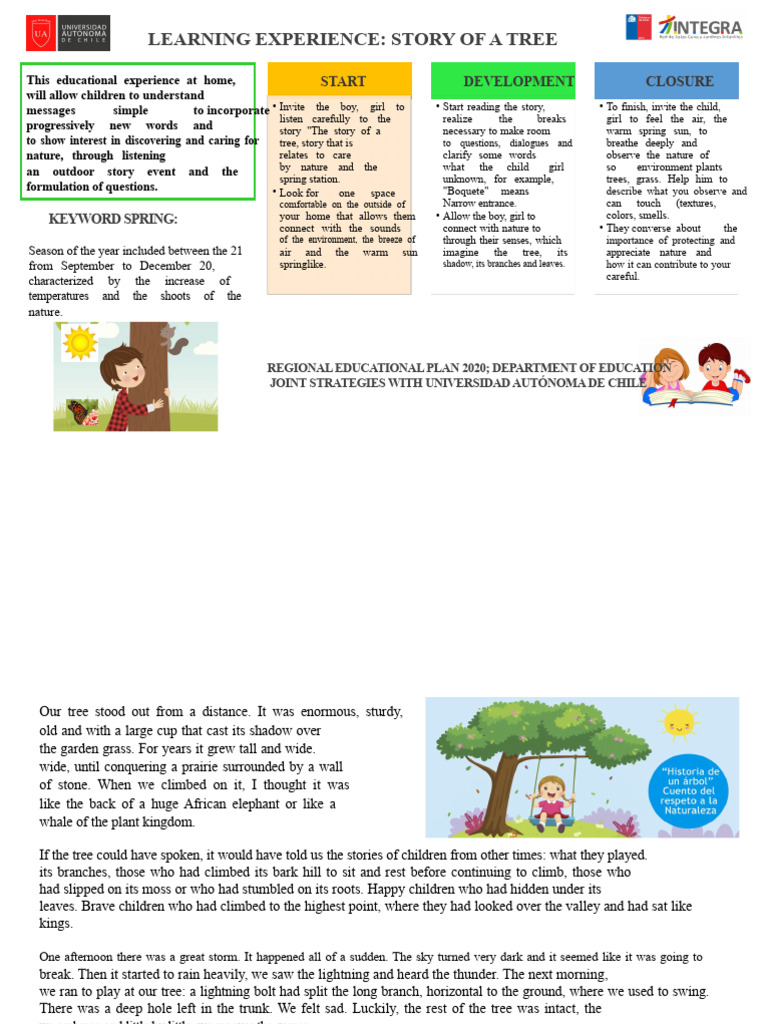 Story of a tree | PDF