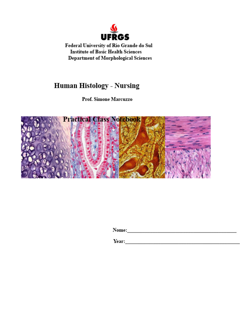 Practical - Classes - Notebook Histology | PDF | Bone | Epithelium