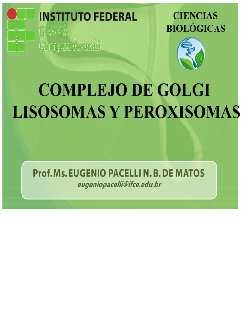 Clase 10 - Complejo de Golgi, Lisosomas y Peroxisomas | PDF | Lisosoma | Membrana celular