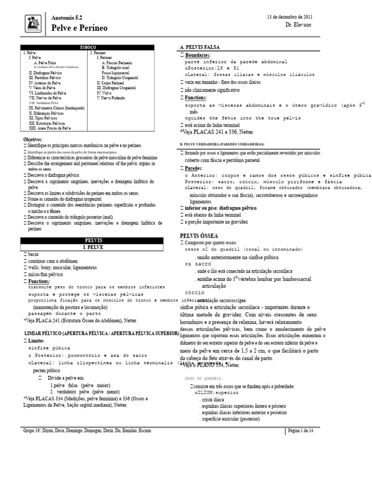 Anat 5.2 Pelve e Períneo_Elevazo | PDF | Pélvis | Anatomia humana