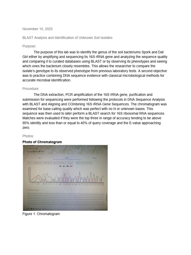 LR10 - BLAST Analysis and Identification of Unknown Soil Isolates | PDF ...