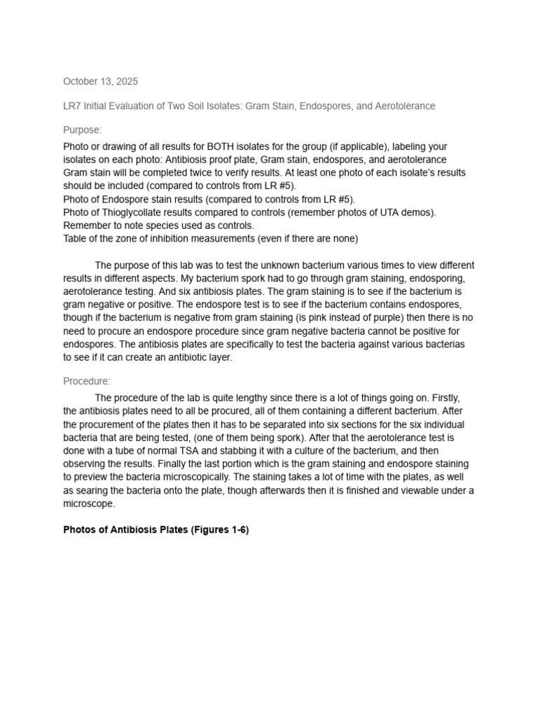 LR7 Initial Evaluation of Two Soil Isolates_ Gram Stain, Endospores ...