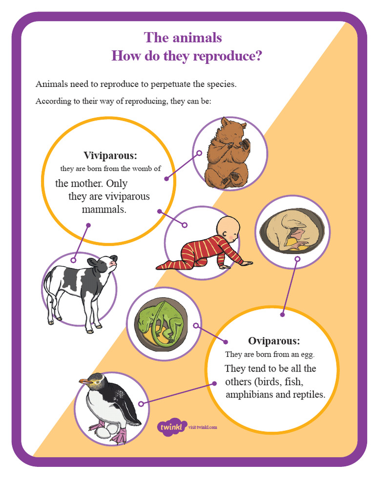 Information sheet - Animals - How do they reproduce.pdf | PDF