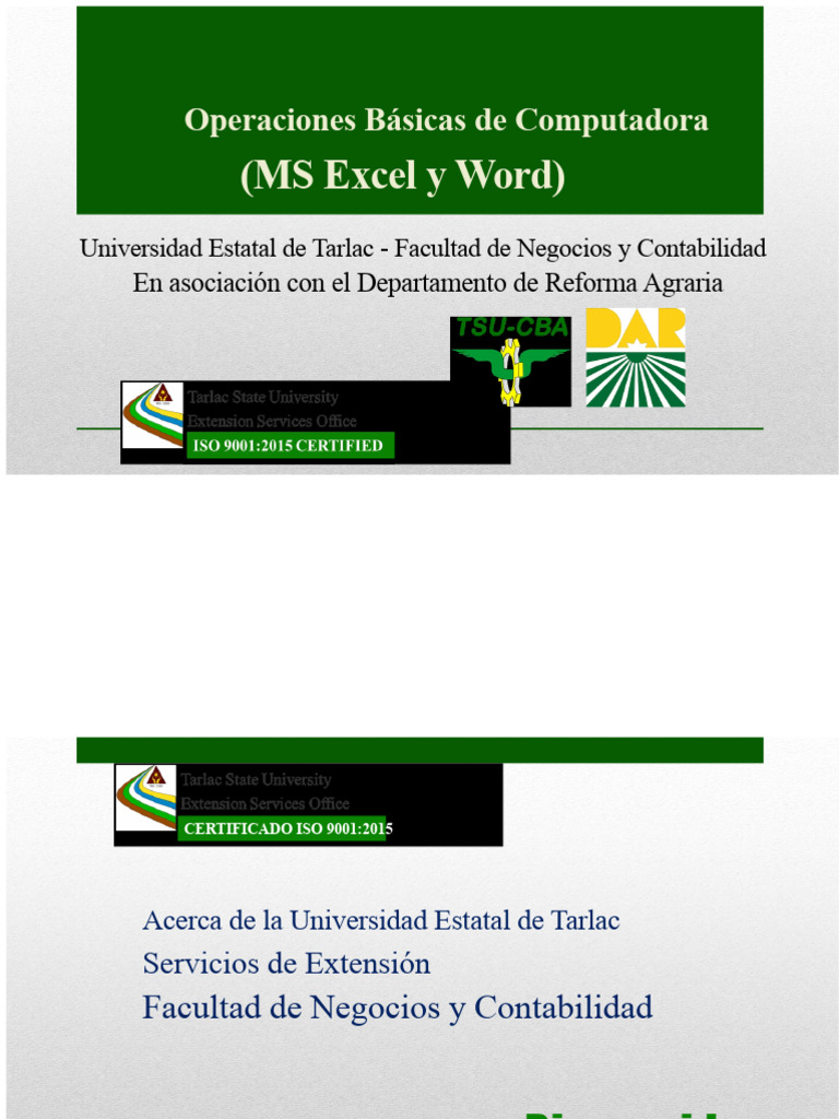 Fundamentos de Excel y Word en Negocios | PDF | Botón (Computación ...
