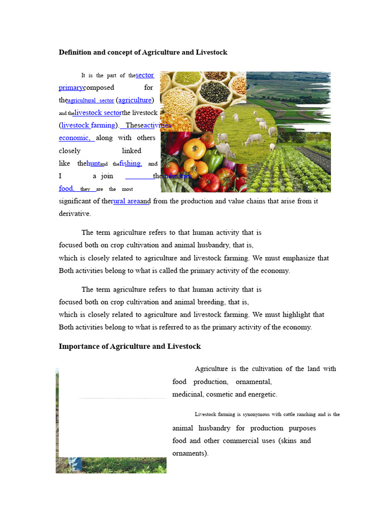 Agriculture and Livestock Overview | PDF | Horticulture | Agriculture