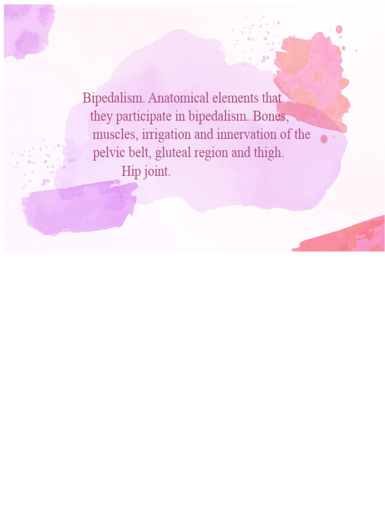 Anatomy of Bipedalism in Humans | PDF | Pelvis | Human Leg