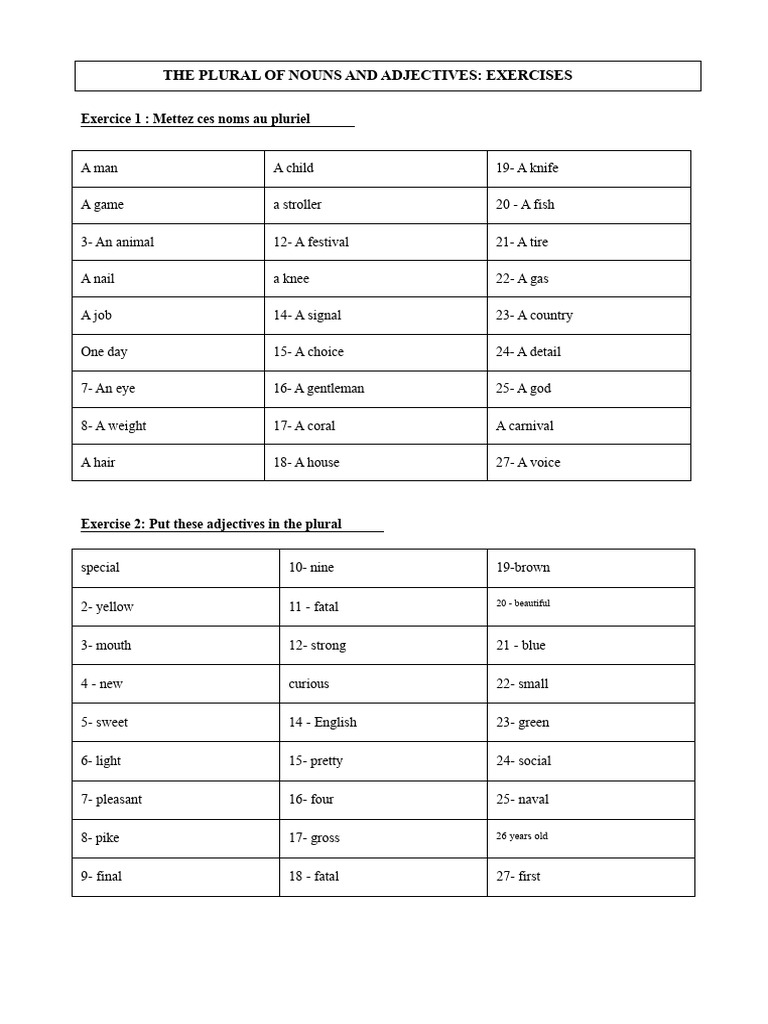 The Plural of Nouns and Adjectives Exercises | PDF