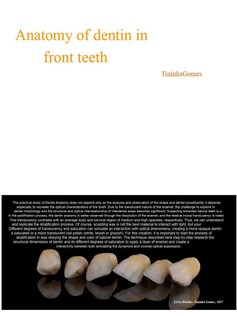 Anatomy of Dentin in Anterior Teeth | PDF | Tooth Enamel | Mouth