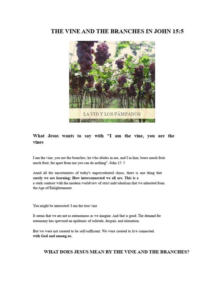 THE VINE AND THE BRANCHES | PDF | Jesus | Gospel Of John