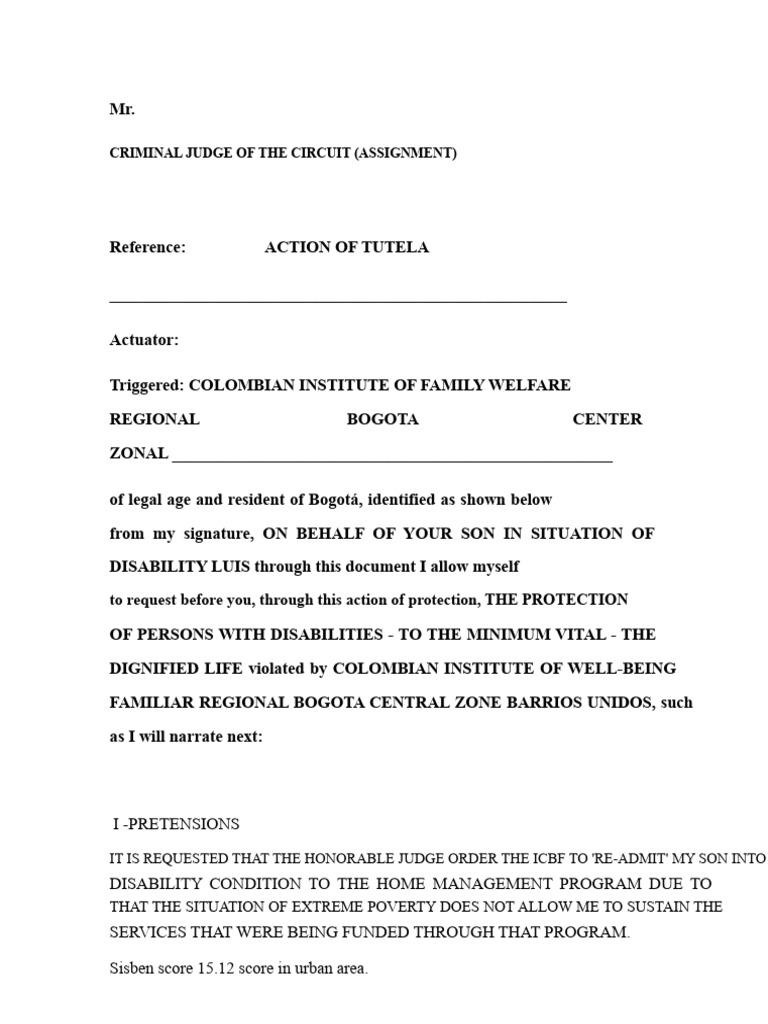 Disability Guardianship MODEL | PDF