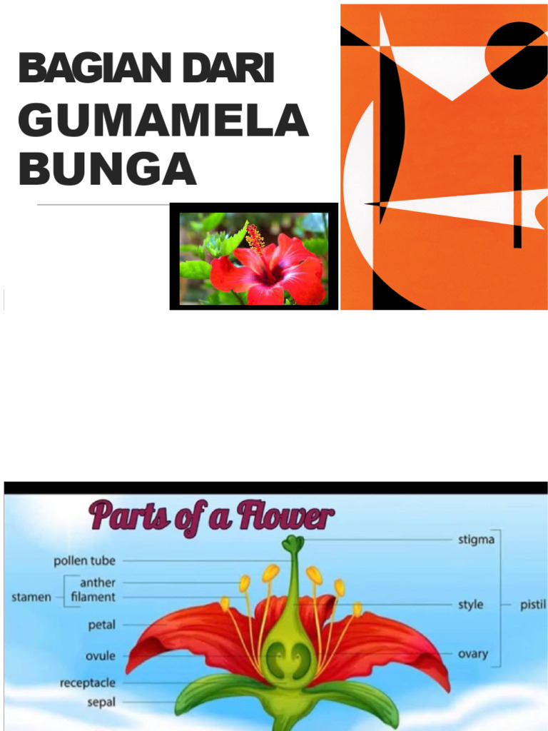 BAGIAN-BAGIAN BUNGA GUMAMELA | PDF