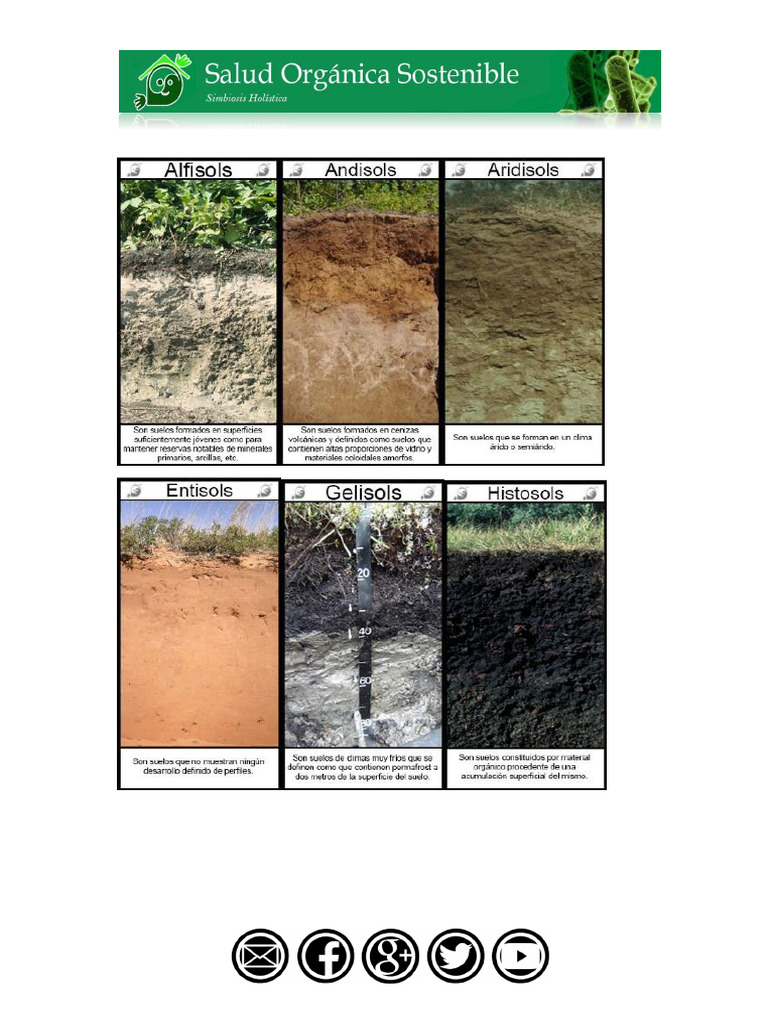 Types of Soil | PDF | Soil | Horticulture