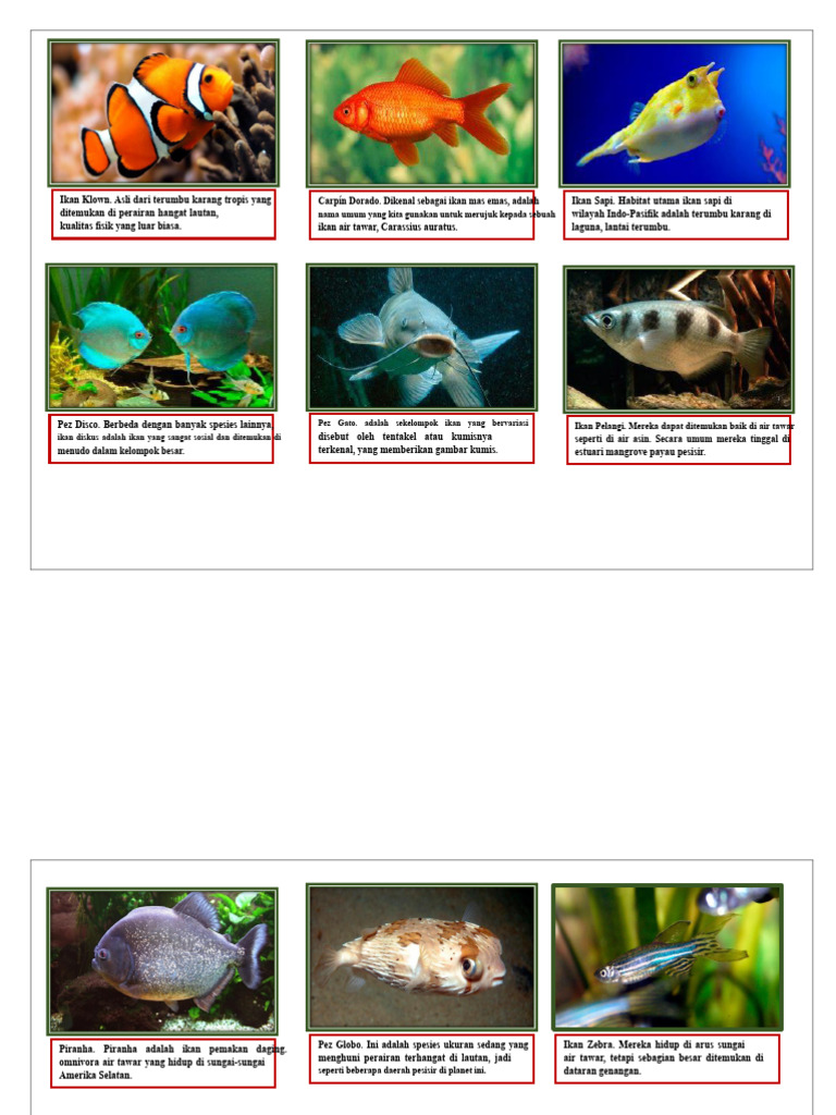 Jenis-Jenis Ikan dan Amfibi Terkenal | PDF