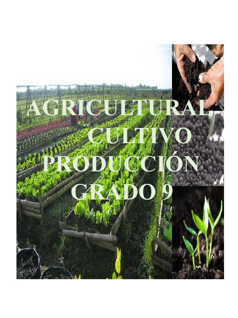 Producción de Cultivos Agrícolas Grado 9 | PDF | Agricultura | Labranza