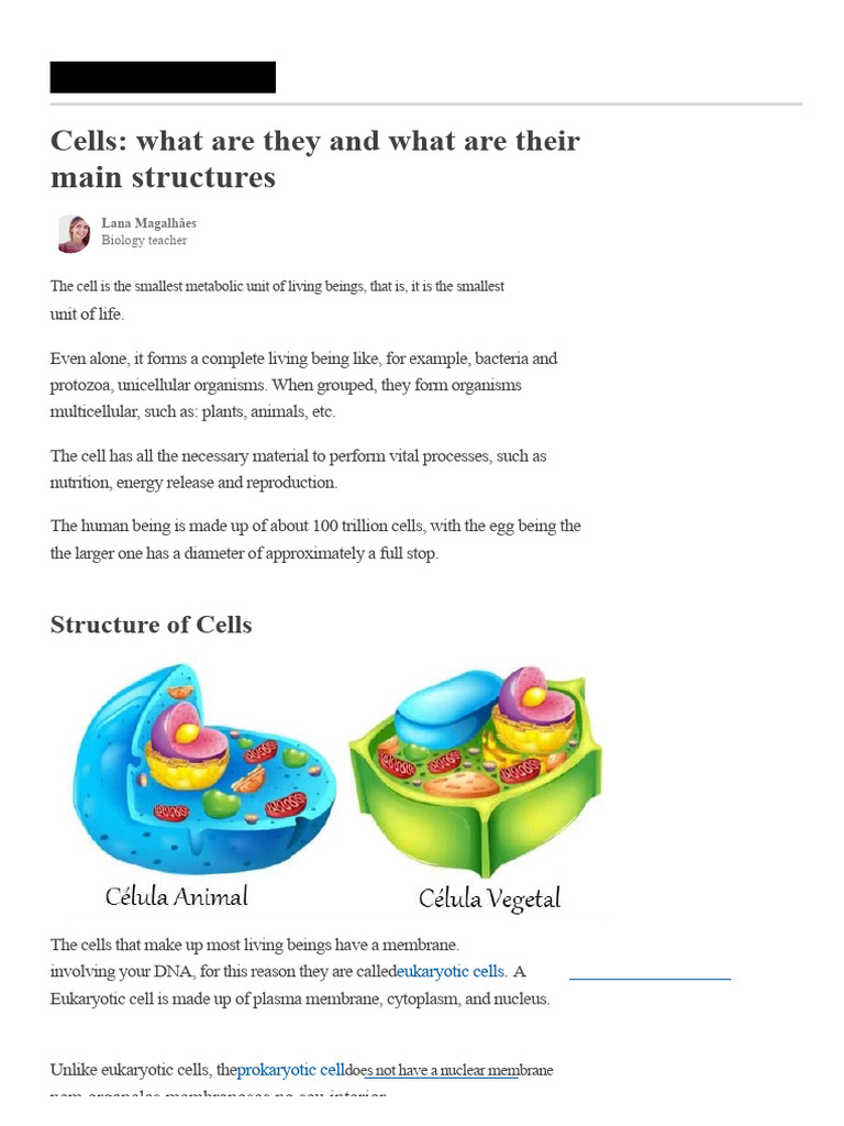Cells: What They Are and What Their Main Structures Are - All Matter ...