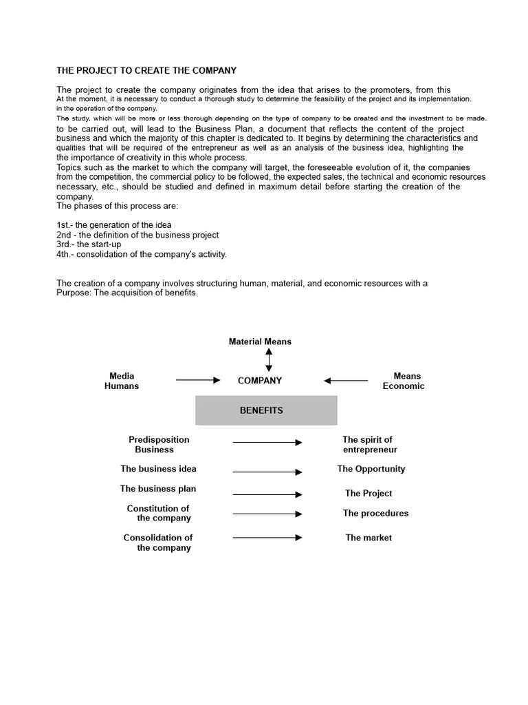Project For The Creation of A Company PDF | PDF | Entrepreneurship ...