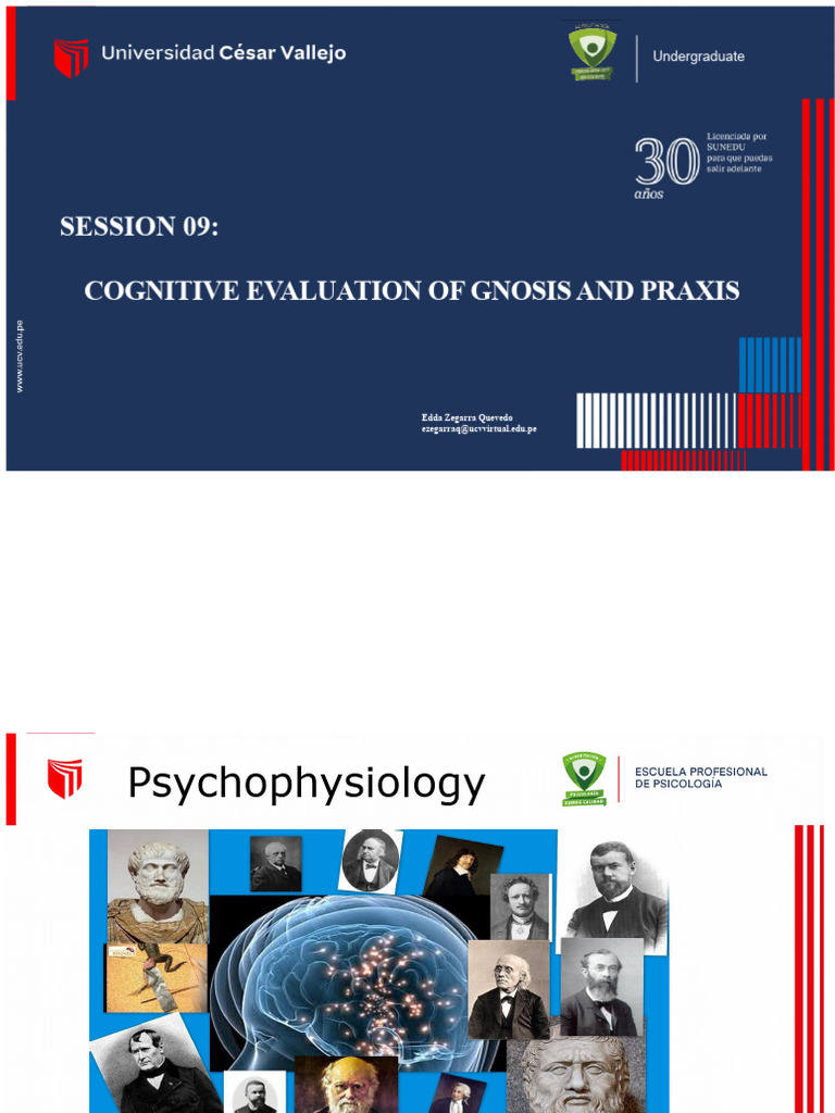Cognitive Evaluation of Gnosis and Praxis | PDF | Senses | Perception