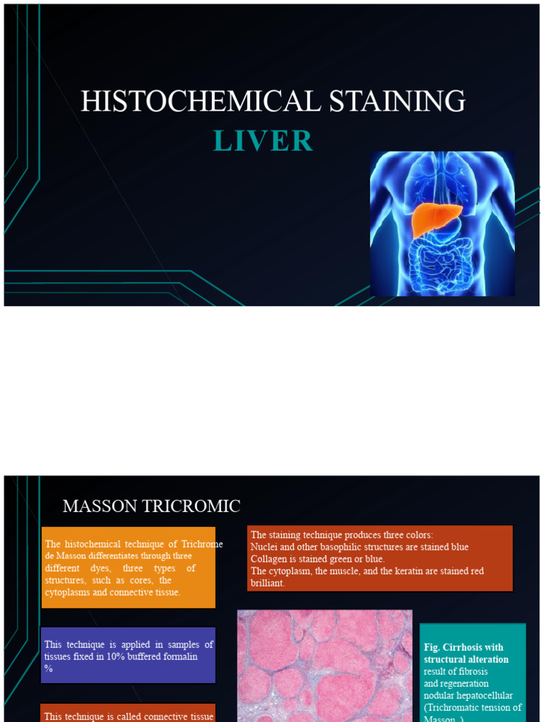 Liver Histochemical Staining Techniques | PDF | Staining | Cirrhosis