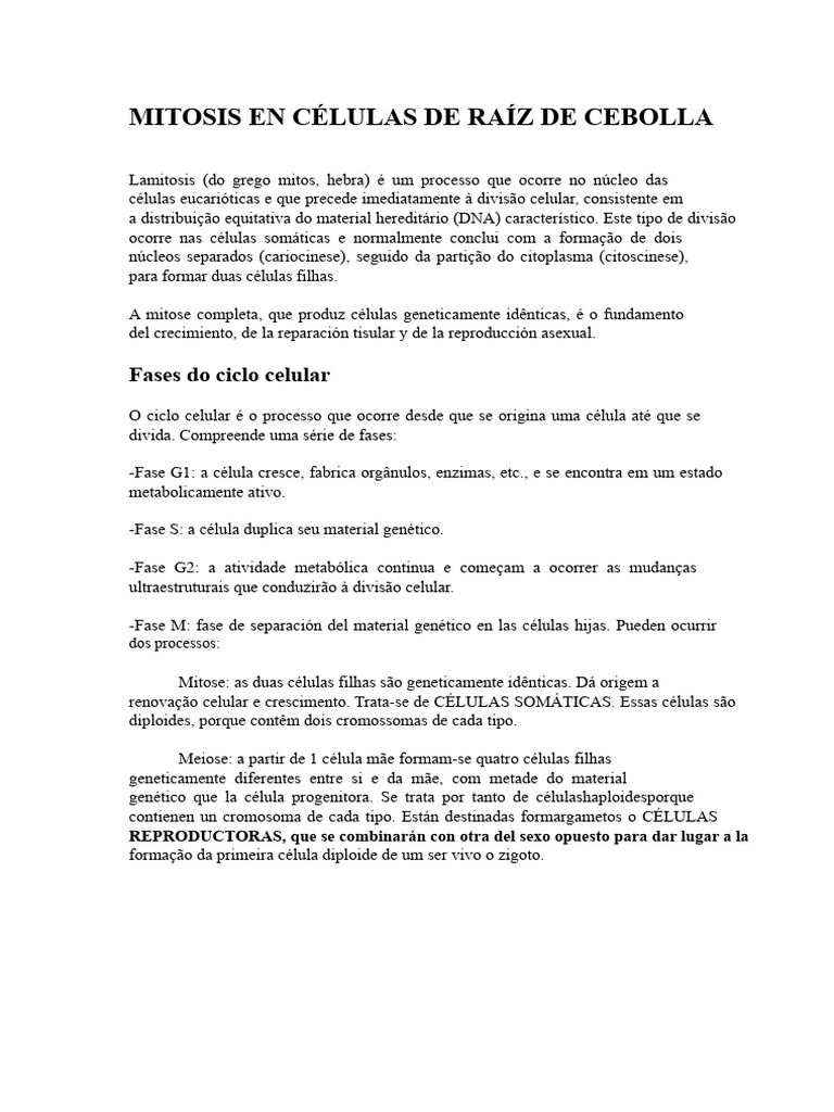 Mitosis em Células de Raiz de Cebola | PDF | Mitose | Célula (Biologia)